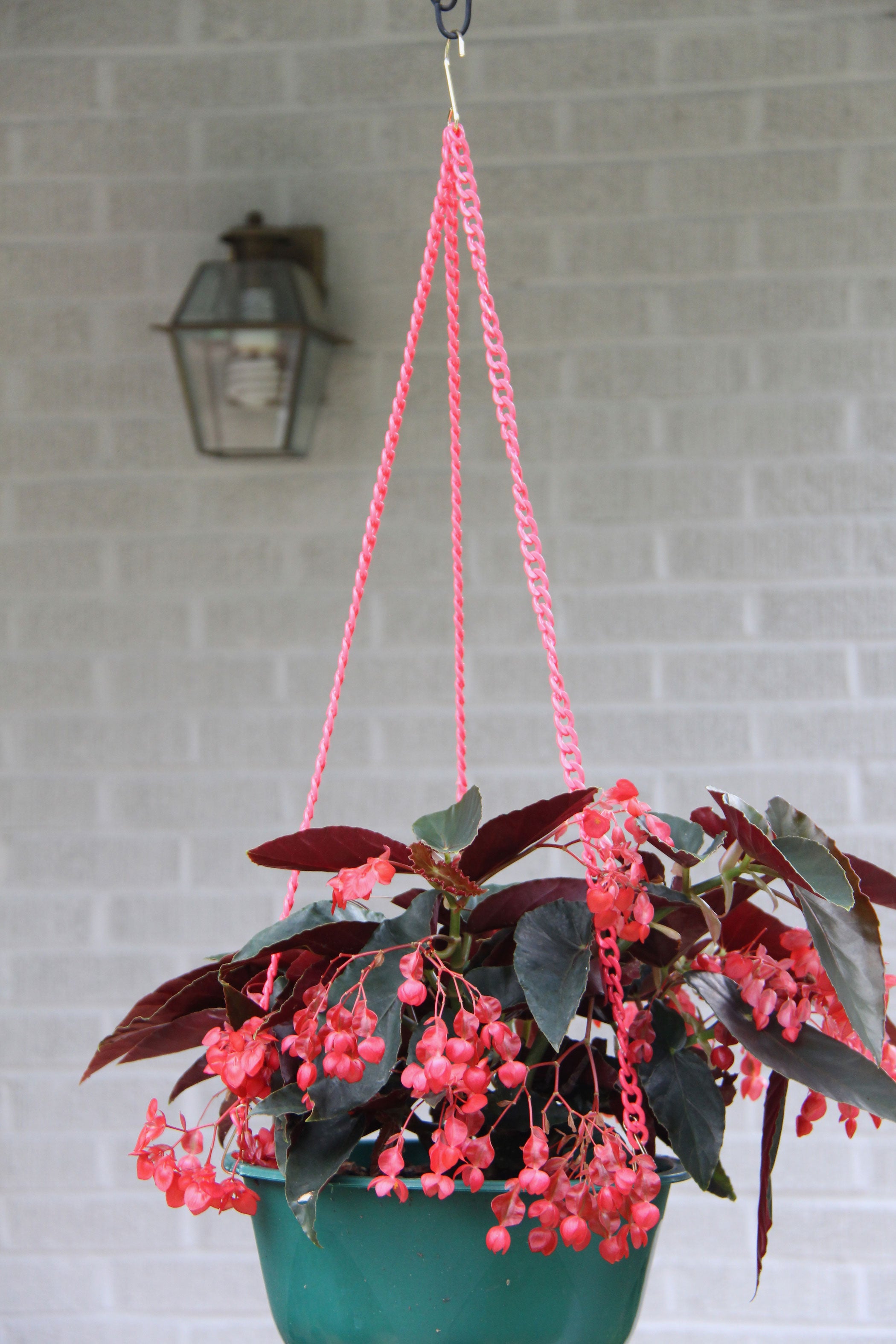 Colorful Enamel Hanging Basket Plant Chain – WomanShopsWorld